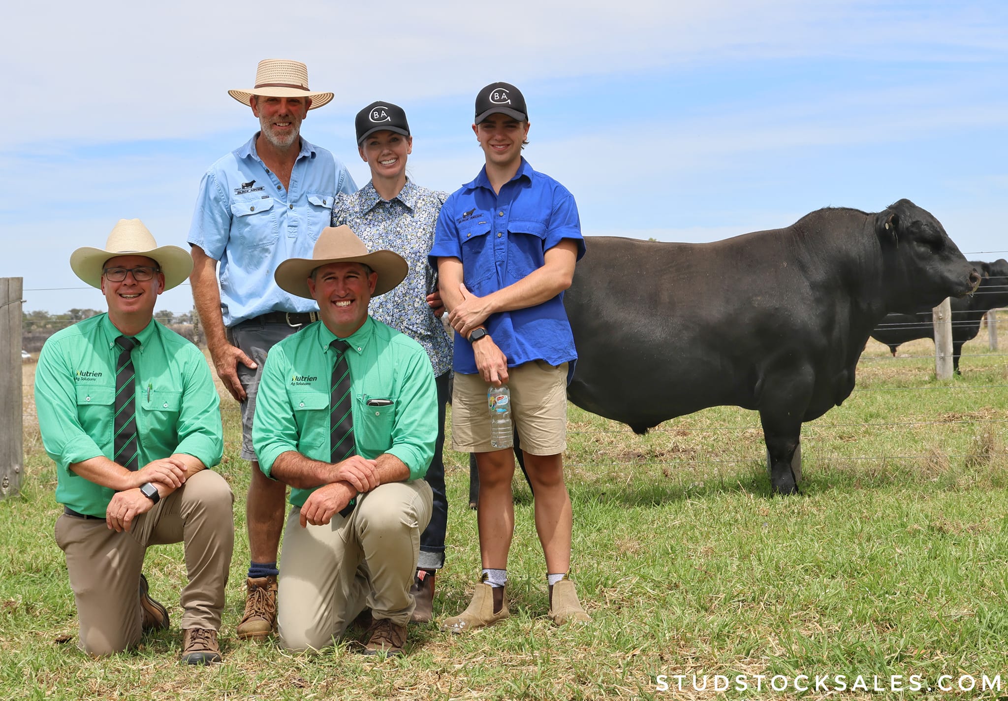 SA Cattleman's Bull Sale 2023 - Glatz Black Angus - Avenue Range, SA